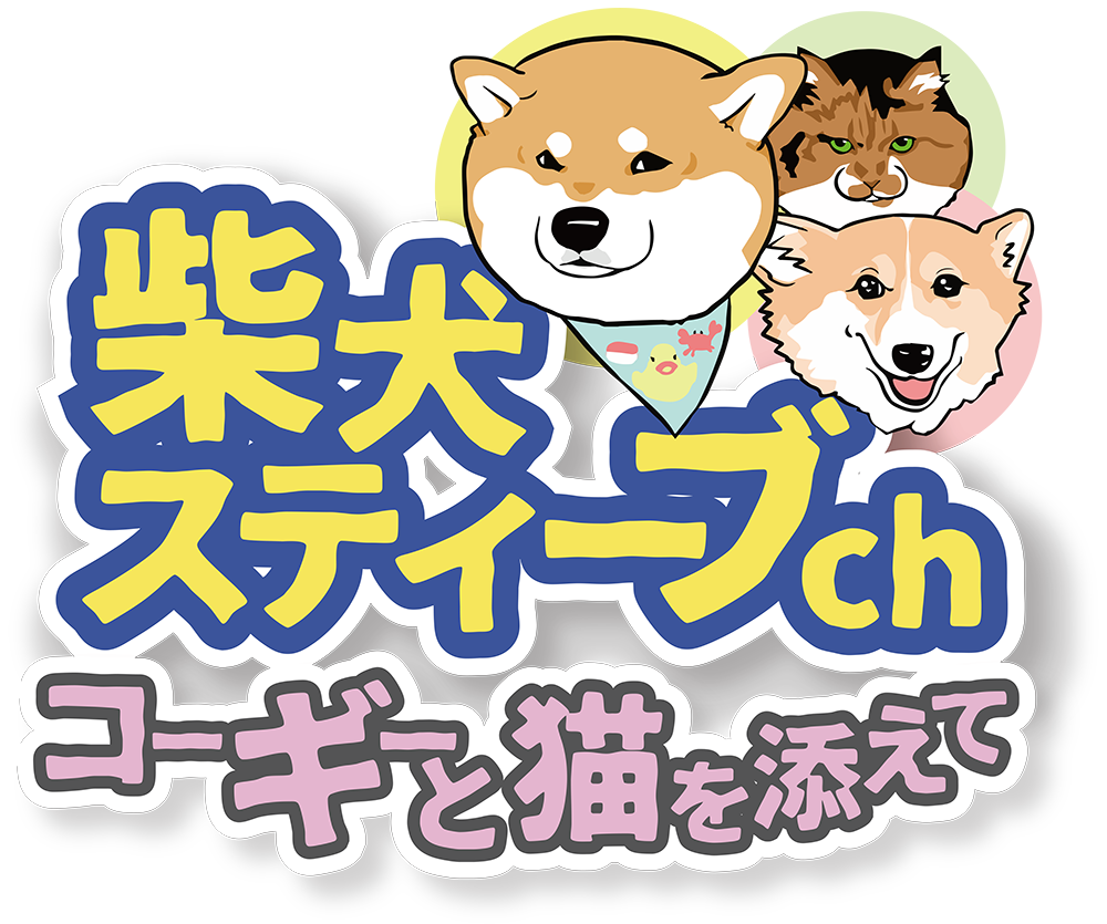 STEVE STUDIO official site