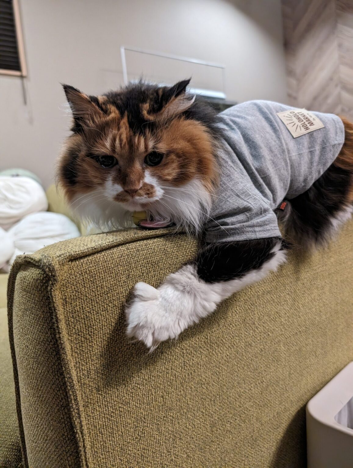 かーさんブログ始動！ | STEVE STUDIO official site