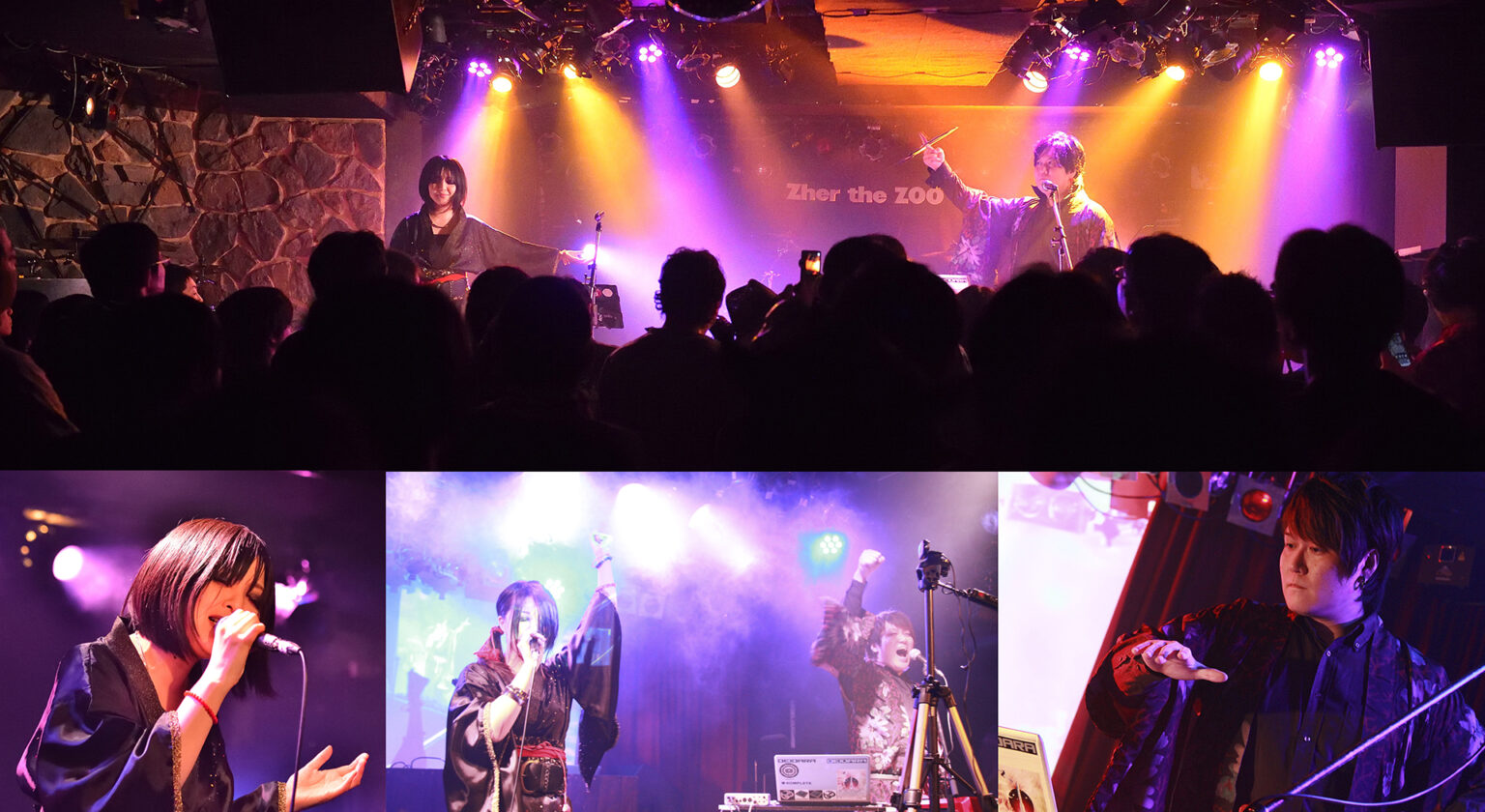 STEVE STUDIO official site