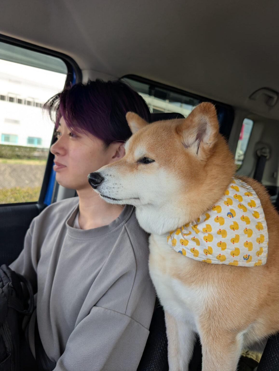 STEVE STUDIO official site